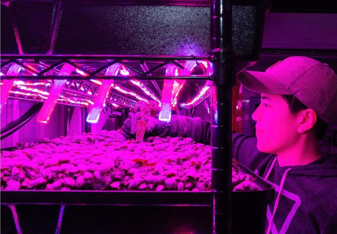 About | Square Roots