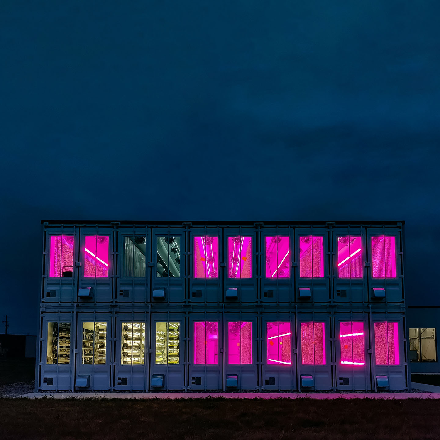 How Square Roots is meeting unprecedented post-pandemic demand for ...