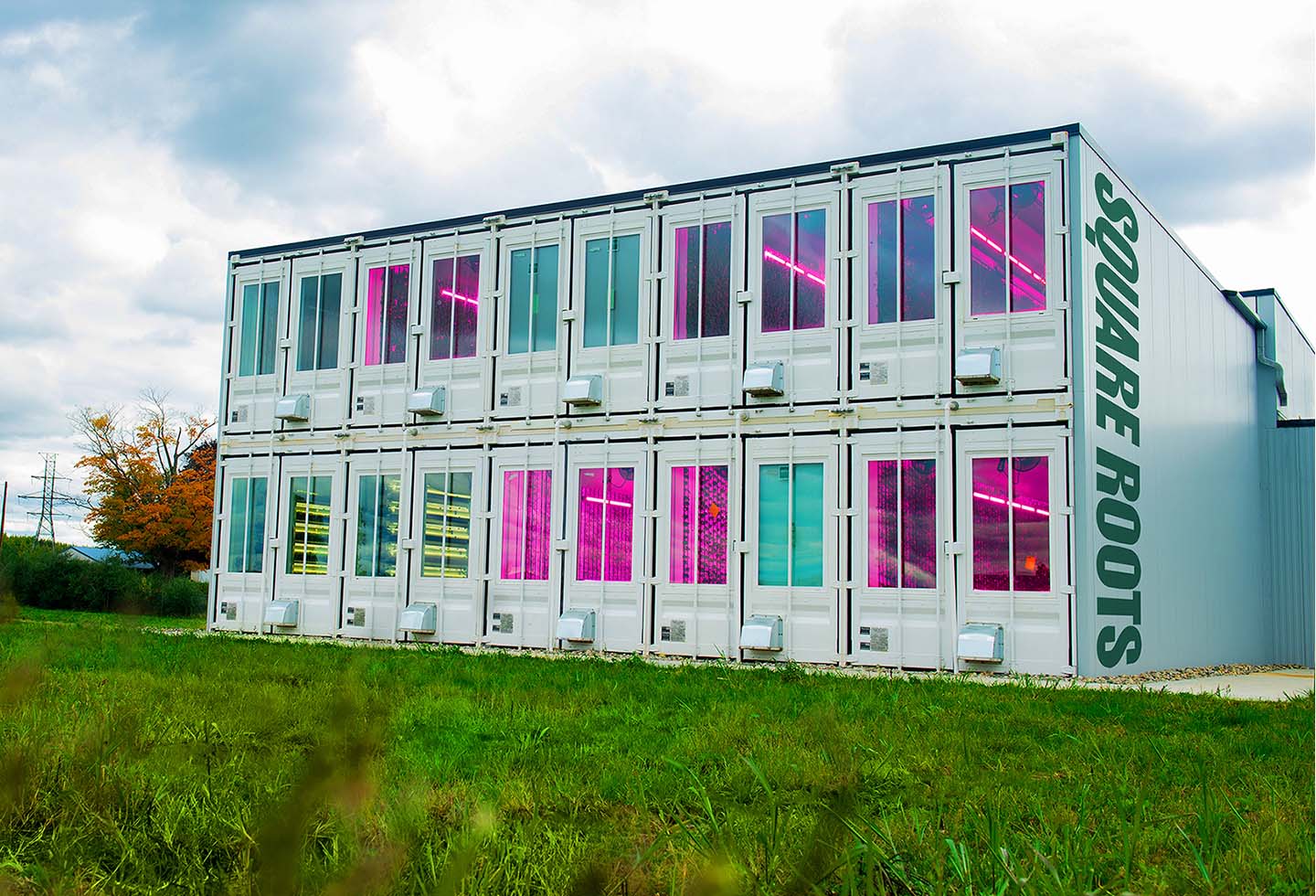 Press Release: Indoor Farm Square Roots Unveils New Brand Identity ...