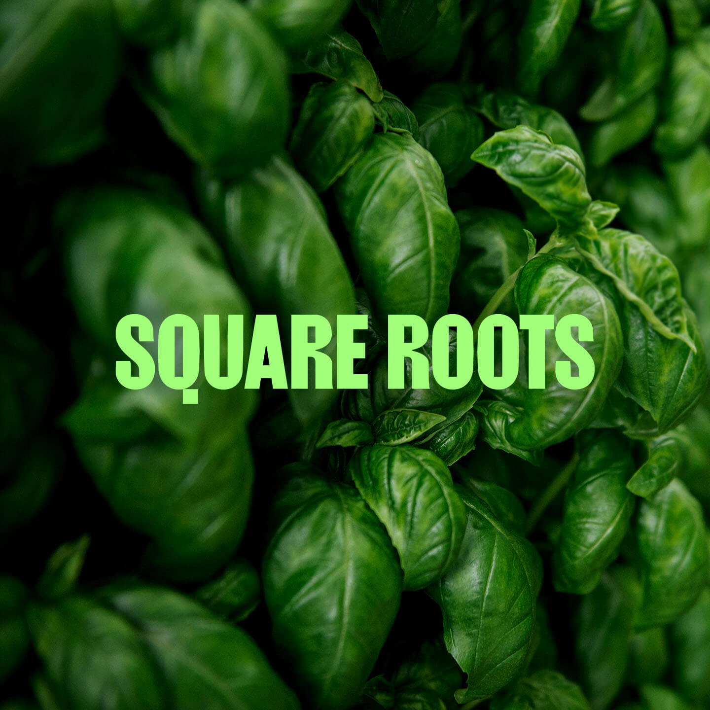 Press Release: Indoor Farm Square Roots Unveils New Brand Identity ...
