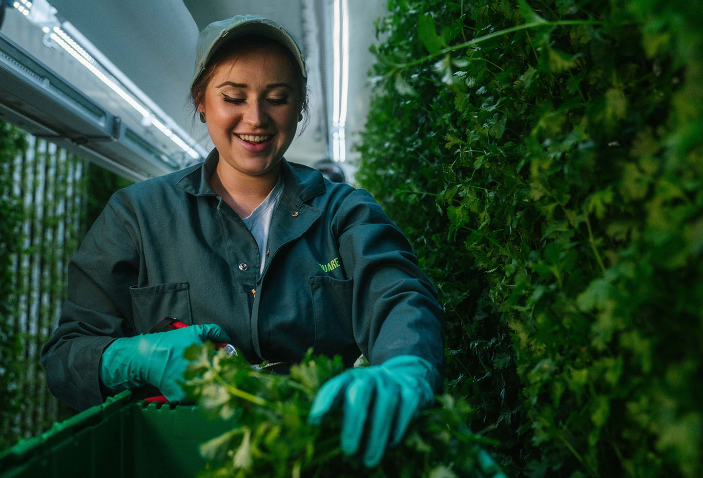 Square Roots Celebrates New Indoor Farm in Kenosha With Gordon Food Service