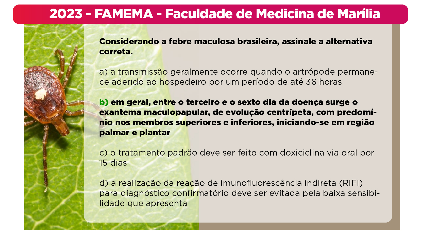 Febre maculosa: causa, sintomas, tratamento e prevenção