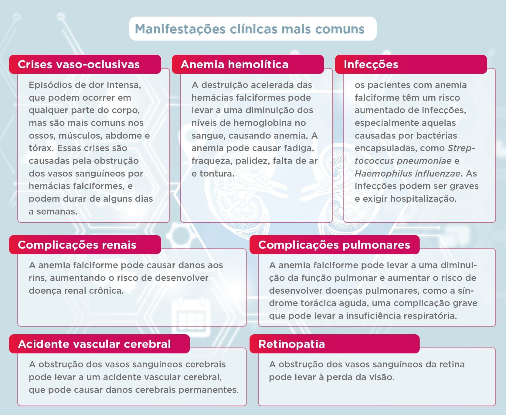Anemia falciforme: o que estudar para as provas? Anemia falciforme: o que estudar para as provas?