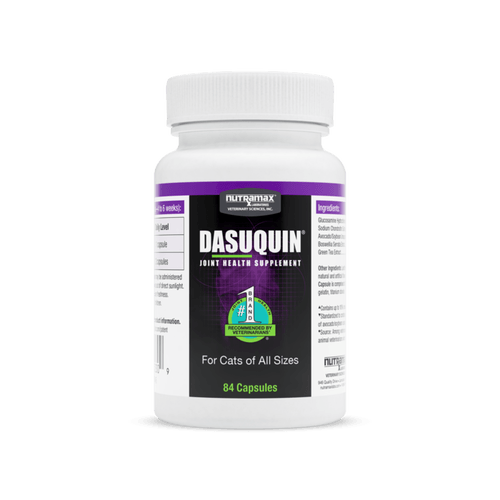 Dasuquin® Joint Health Supplements
