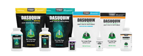 Dasuquin® Joint Health Supplements | About Dasuquin®
