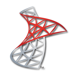 Custom Developed Software