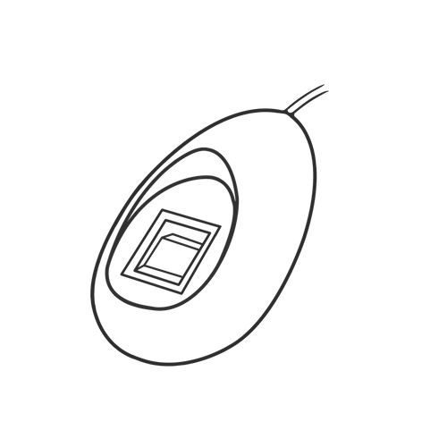 What is a Machine Readable Zone (MRZ) and Why is It Vital?