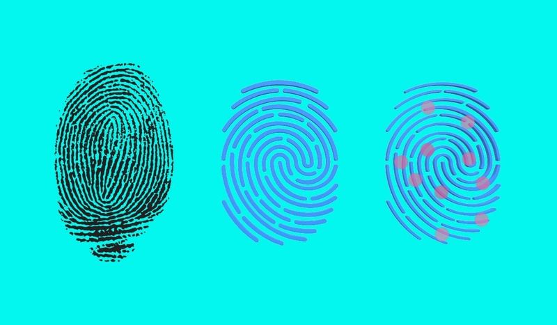 What Is a Fingerprint? Let’s Get to the Bottom of It