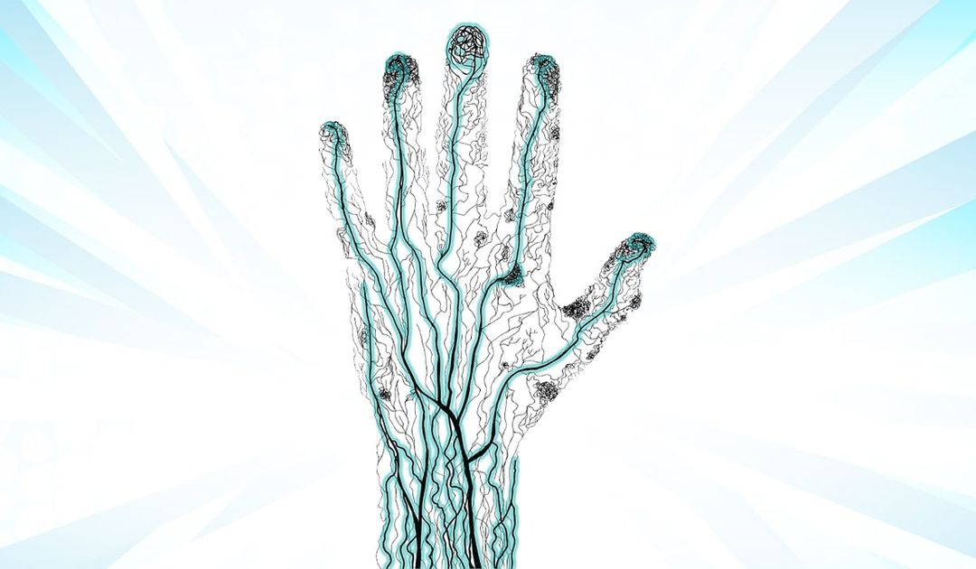 Tapping into Vein Biometrics: Reliable and Secure Authentication for ...