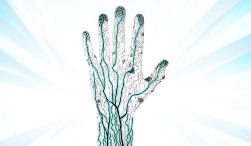 Tapping into Vein Biometrics: Reliable and Secure Authentication for ...