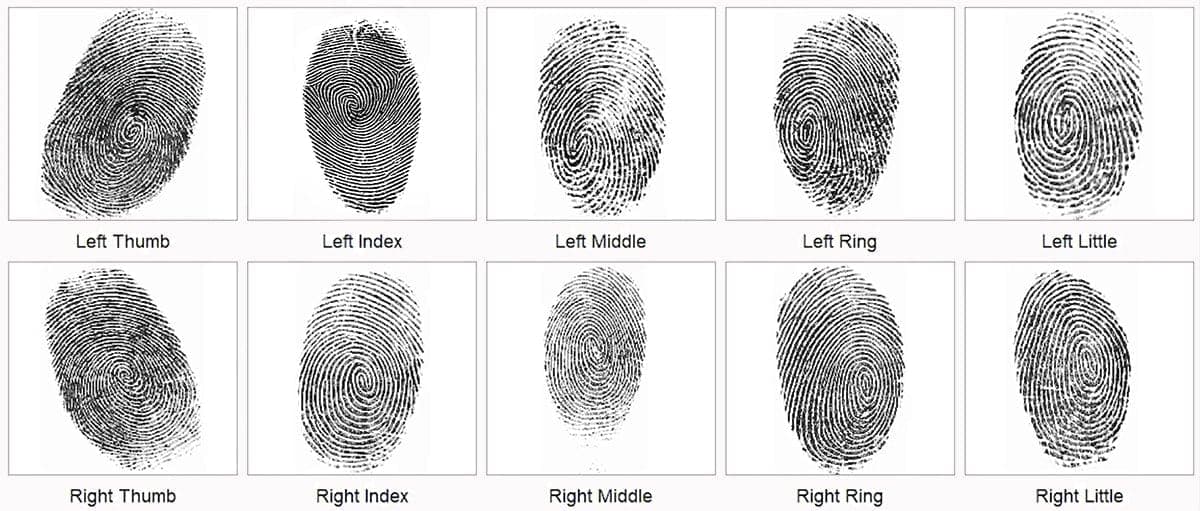 What is Biometrics? Definition, Data Types, Trends (2024)