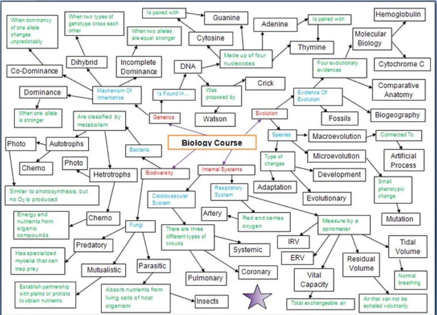  15 Concept Map Examples In Practice
