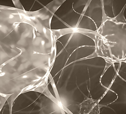 Abramson Architects | Synapse | Award Winner