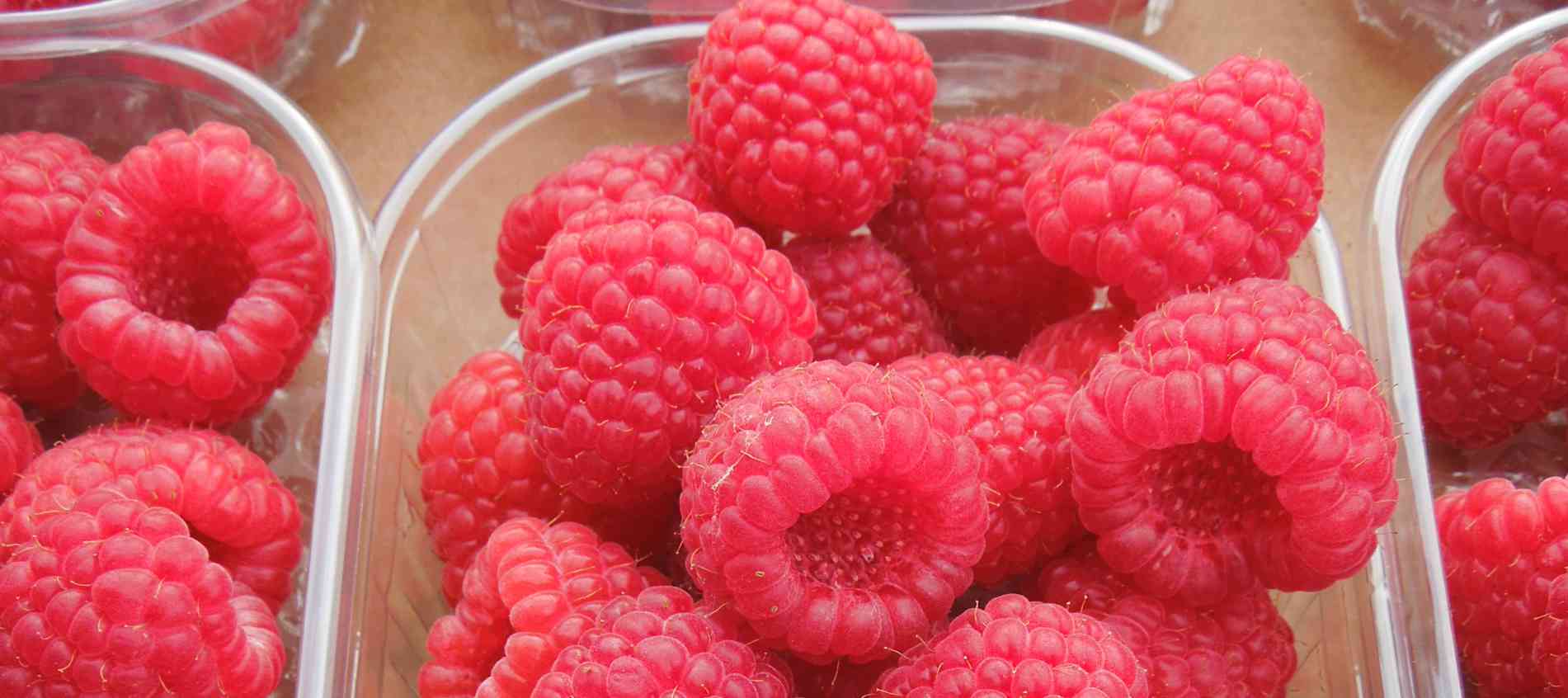 Doriane | Blog — Marionnet Label Berry breeding