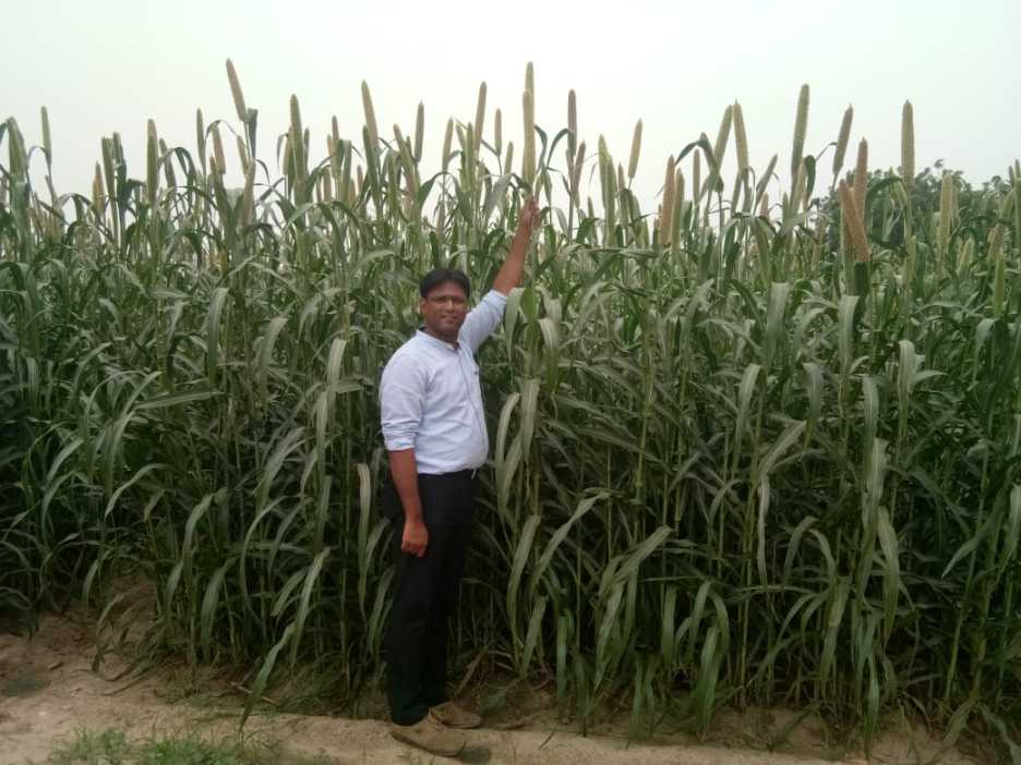 Doriane | Blog — Plant breeding software benefits for Biostadt researchers