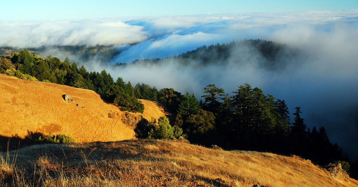 A transferee’s guide to the San Francisco Peninsula (part 2) | Relocity