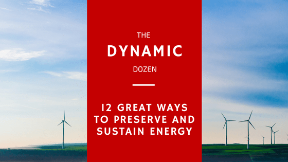 The Dynamic Dozen: Twelve Great Ways to Preserve & Sustain Your ...