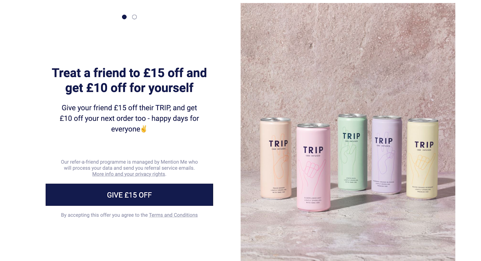 25+ Referral Landing Page Examples (And Why They Work)