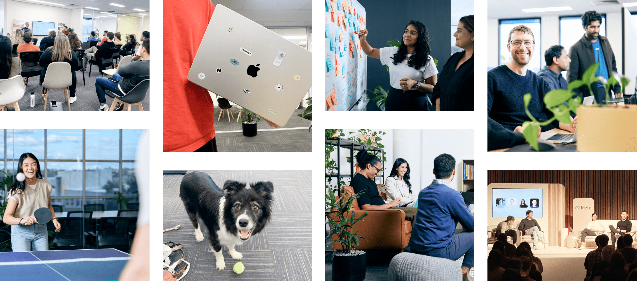 Careers at Mindset Health