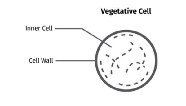 Your Microbiome - bio-az