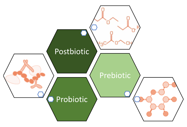 Your Microbiome - bio-az