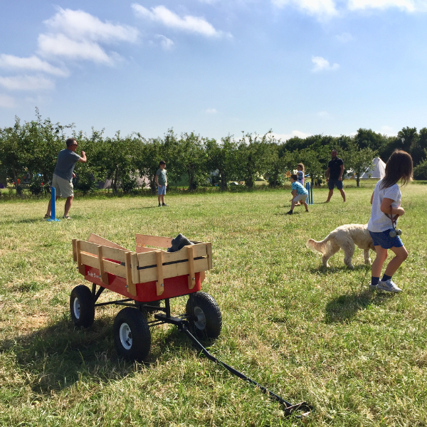 Selson Farm - Campsite near Sandwich - Fallow Fields Camping
