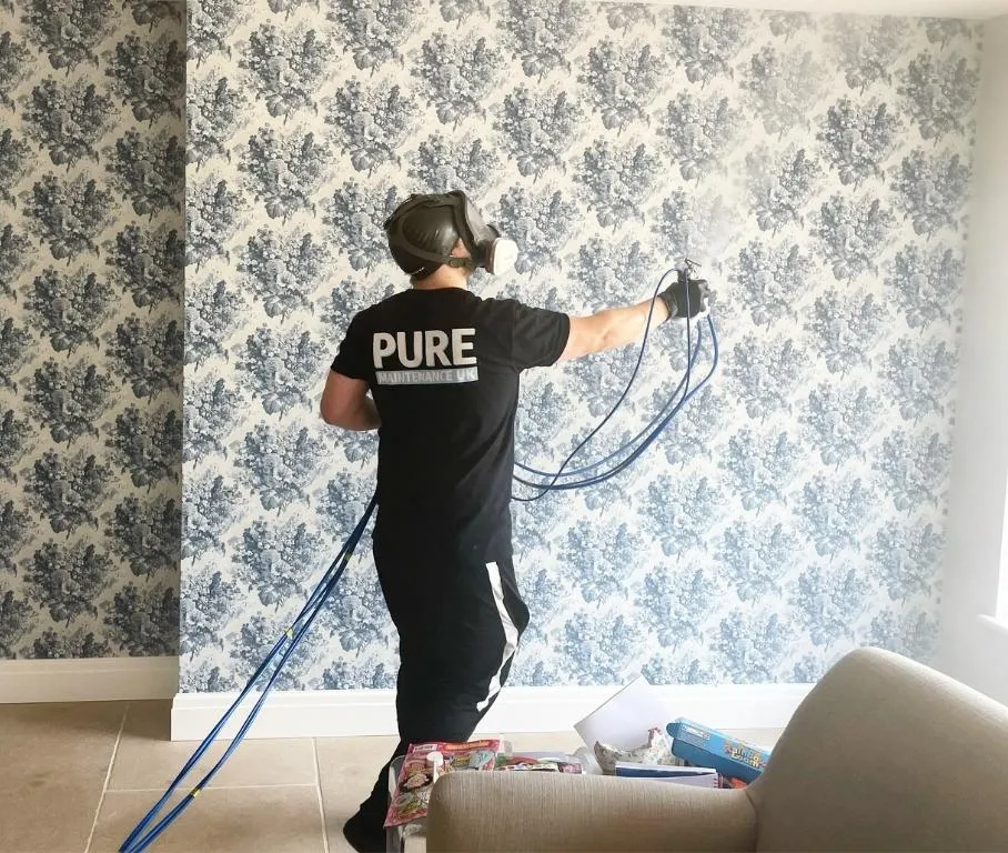 Specialist Mould Removal & Remediation