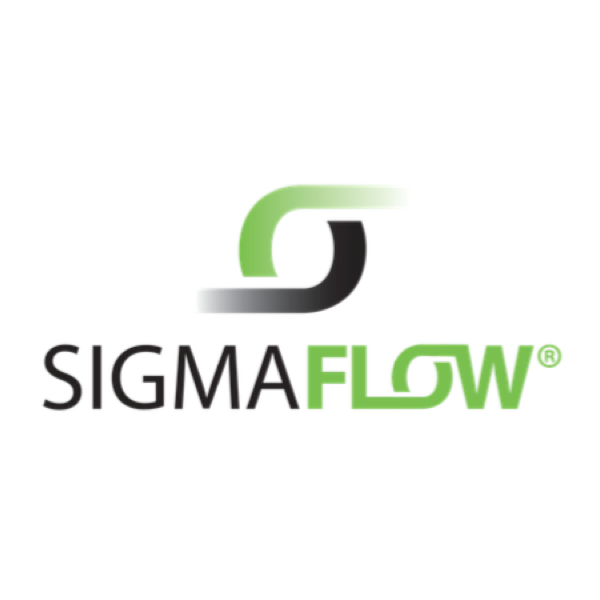 Sigmaflow Case Study | Richter