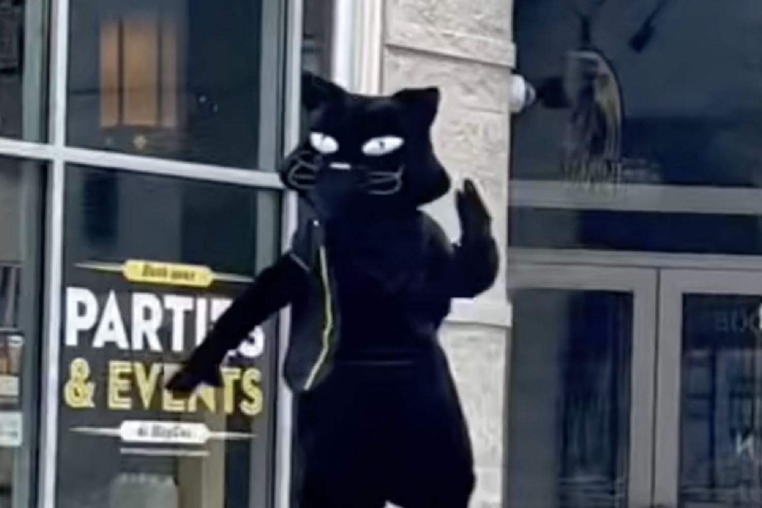 HopCat | HopCat is on TikTok