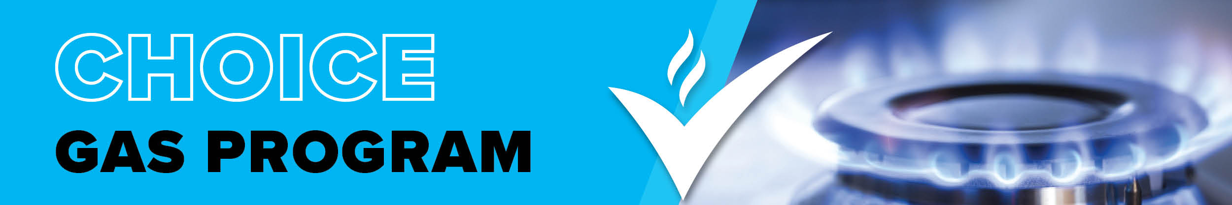 Residential and Commercial Choice Gas Programs