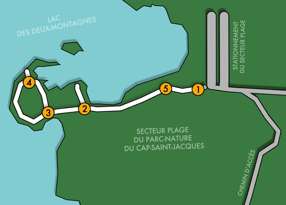 Le tour du Havre-aux-Tortues du parc-nature du Cap-St-Jacques : les ...