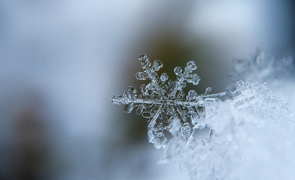 De grains de poussière à flocons - Blogue de GUEPE