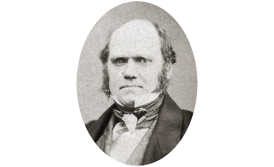 Darwin, l’homme - Blogue de GUEPE