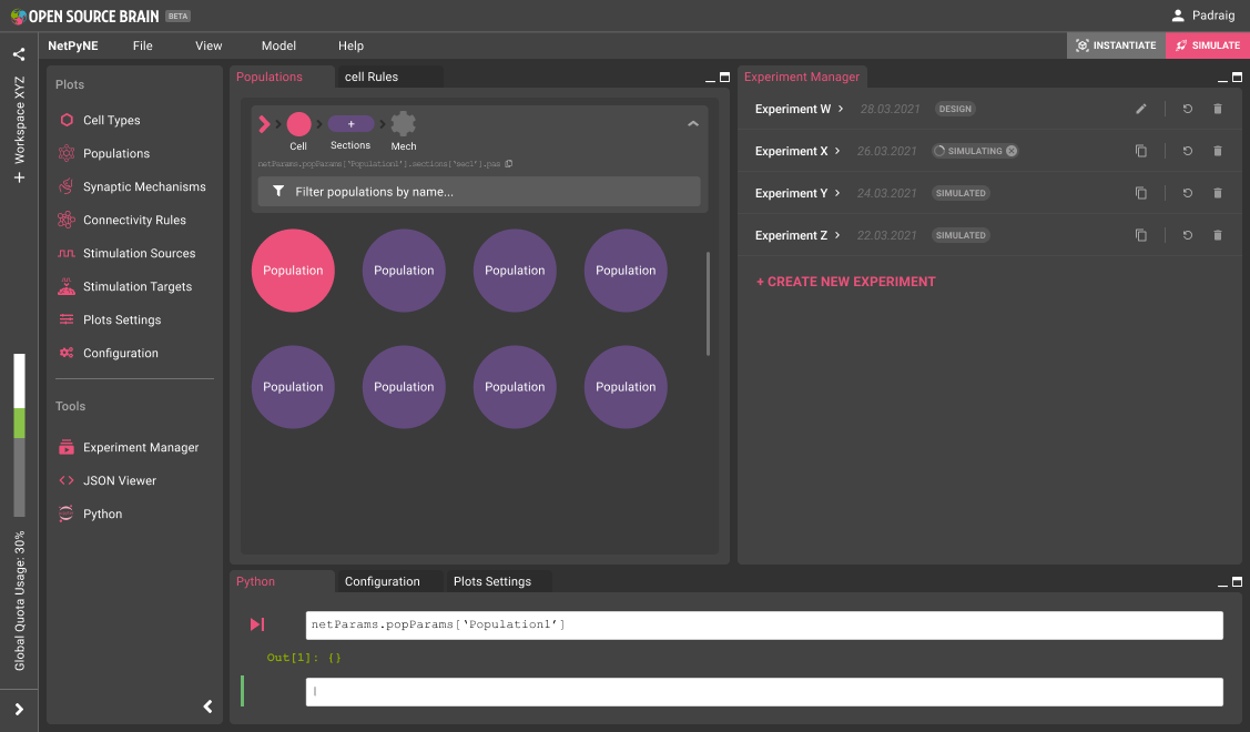 NetPyNE UI | Case Study | MetaCell