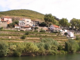 Saga Douro River Cruise for Solo Travellers in November 2021 | GoCruise ...