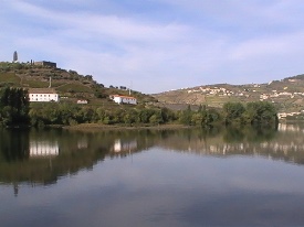 Saga Douro River Cruise for Solo Travellers in November 2021 | GoCruise ...