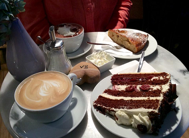 The Enchanting Rhine - AmaCerto River Cruise | GoCruise & Travel Blog