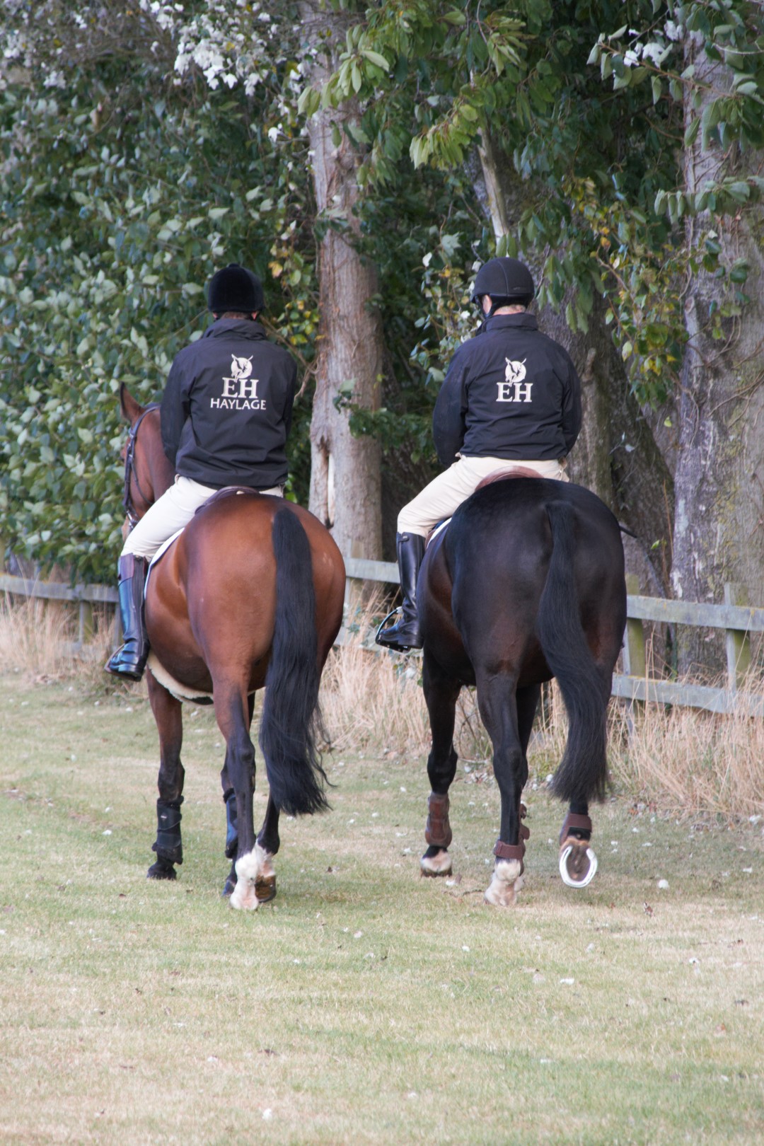 High Quality Equine Haylage | Norfolk Haylage | EH Haylage