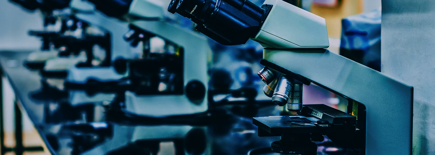 ServiceNow Employee Center | NewRocket