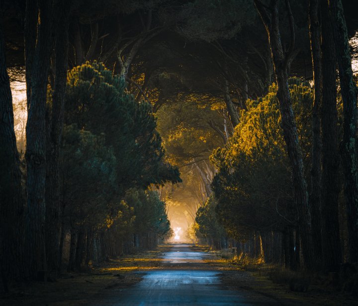 Color.io - Analog Photo Editor & Look Designer