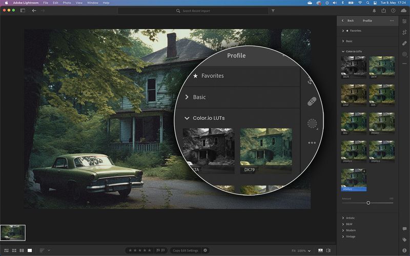 Create LUTs for Adobe Lightroom | Color.io User Guide