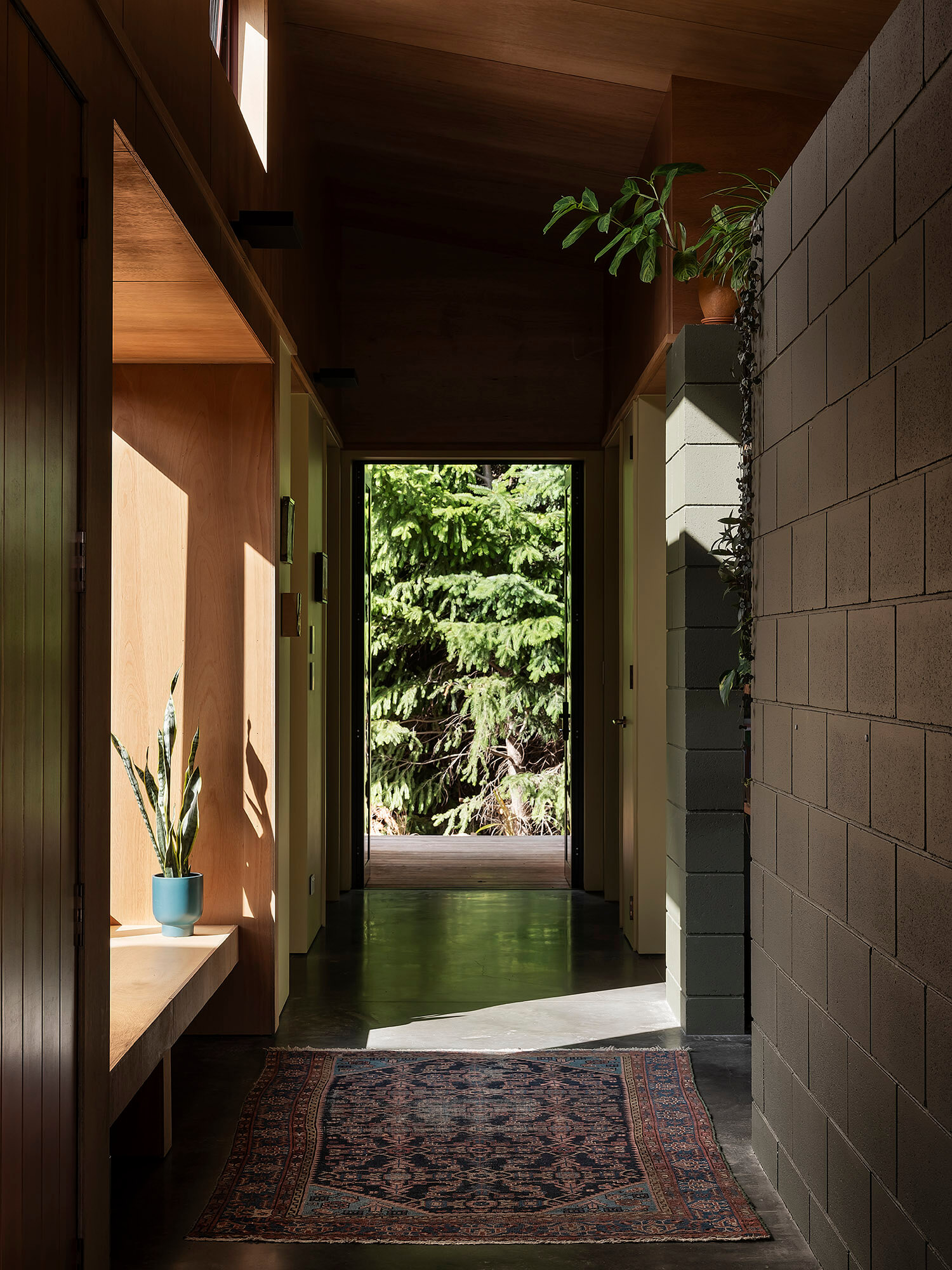 Verdant House | Pac Studio : Architecture, Interior Design & Spatial ...