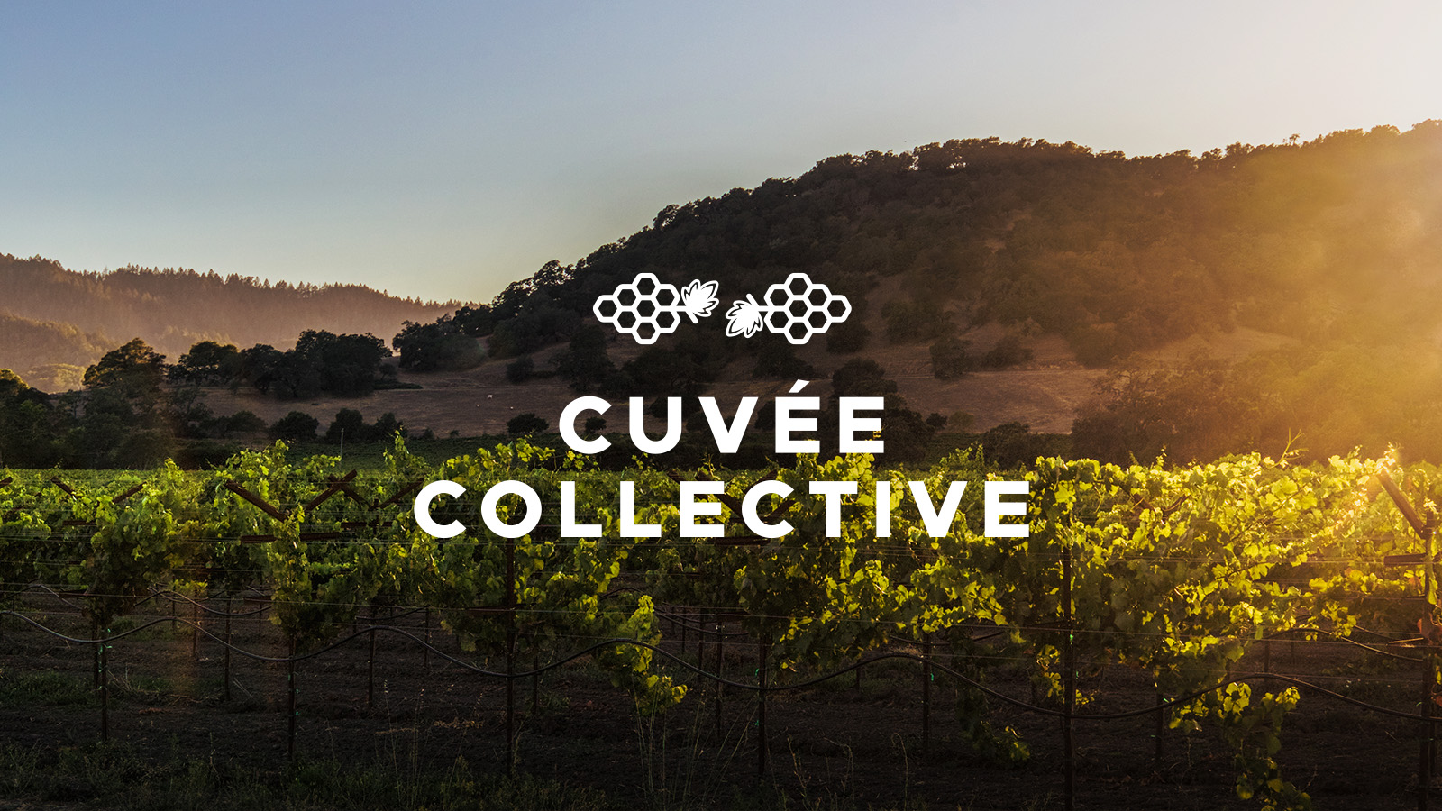 Partner Spotlight: Cuvée Collective launching the worlds first wine NFT ...