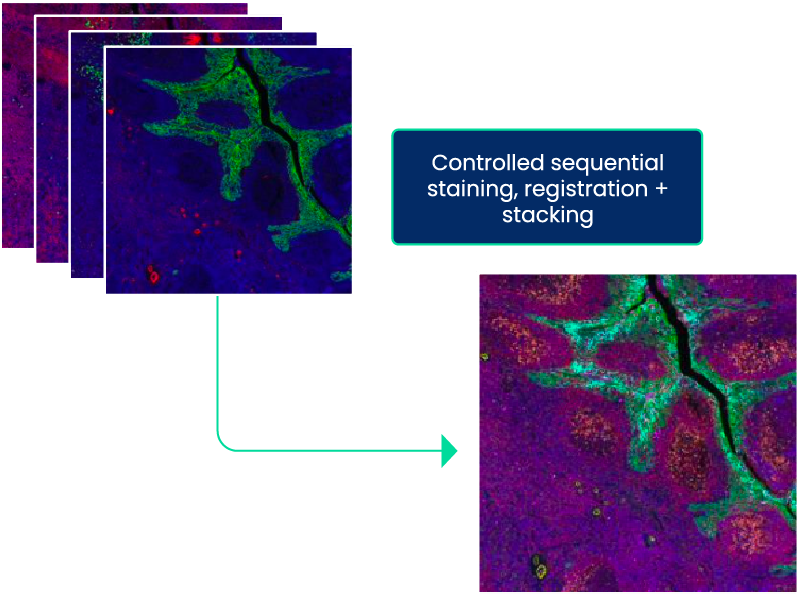 Propath - Specialists in molecular pathology and histopathology