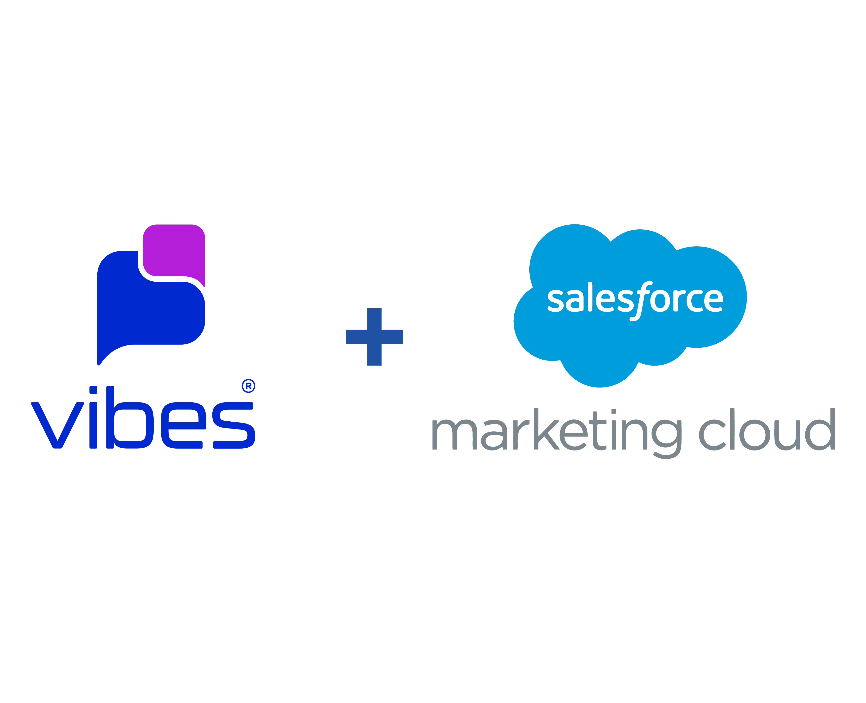 Salesforce SMS Integration | Vibes