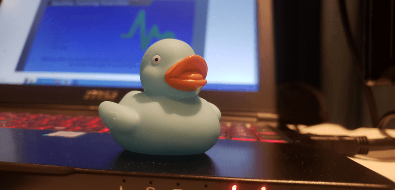 Rubber Duck Debugging: History and Benefits
