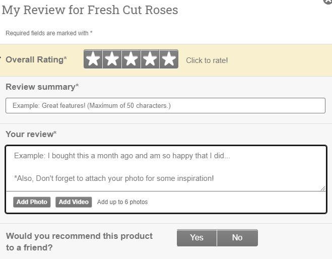 Want More Positive Ecommerce Customer Reviews? Use These 5 Tips
