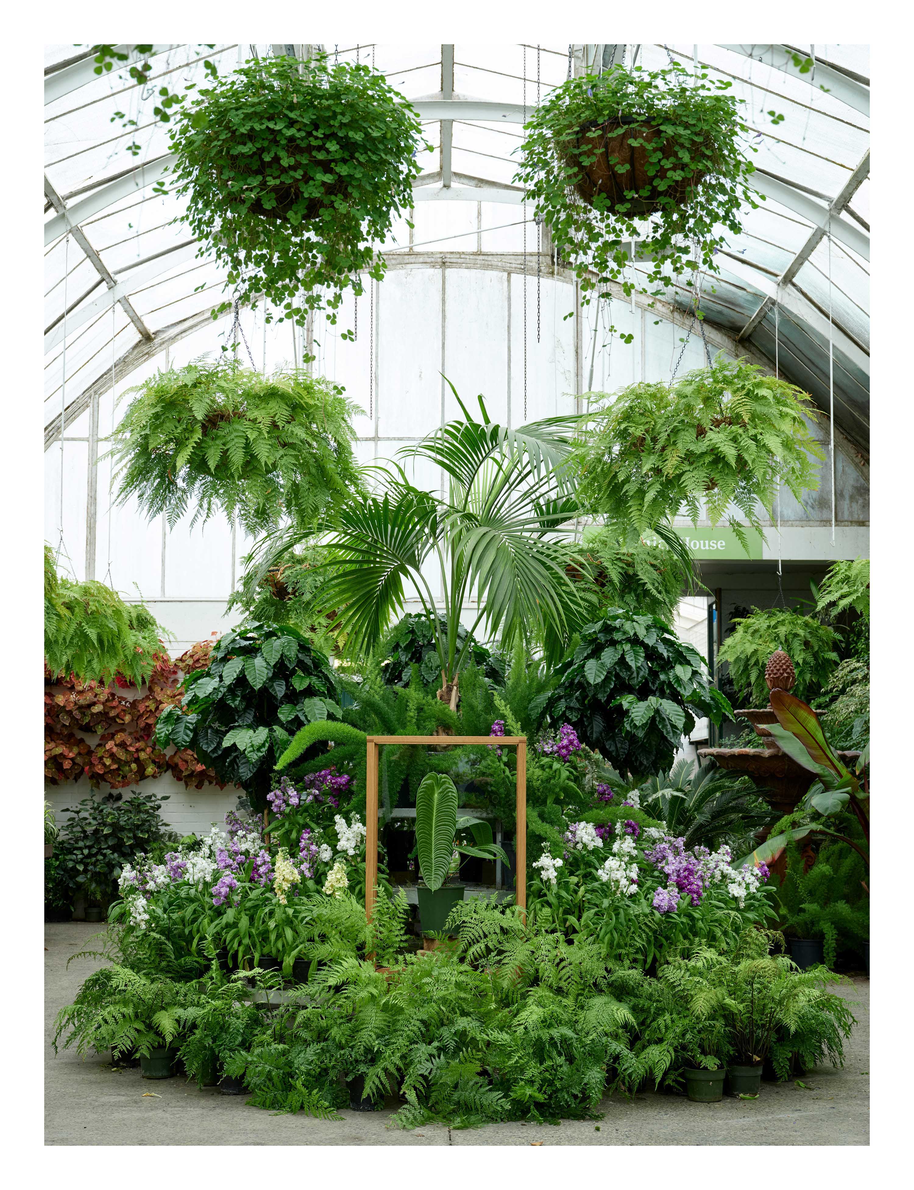Plant Hunters | Here & Now | Here Magazine