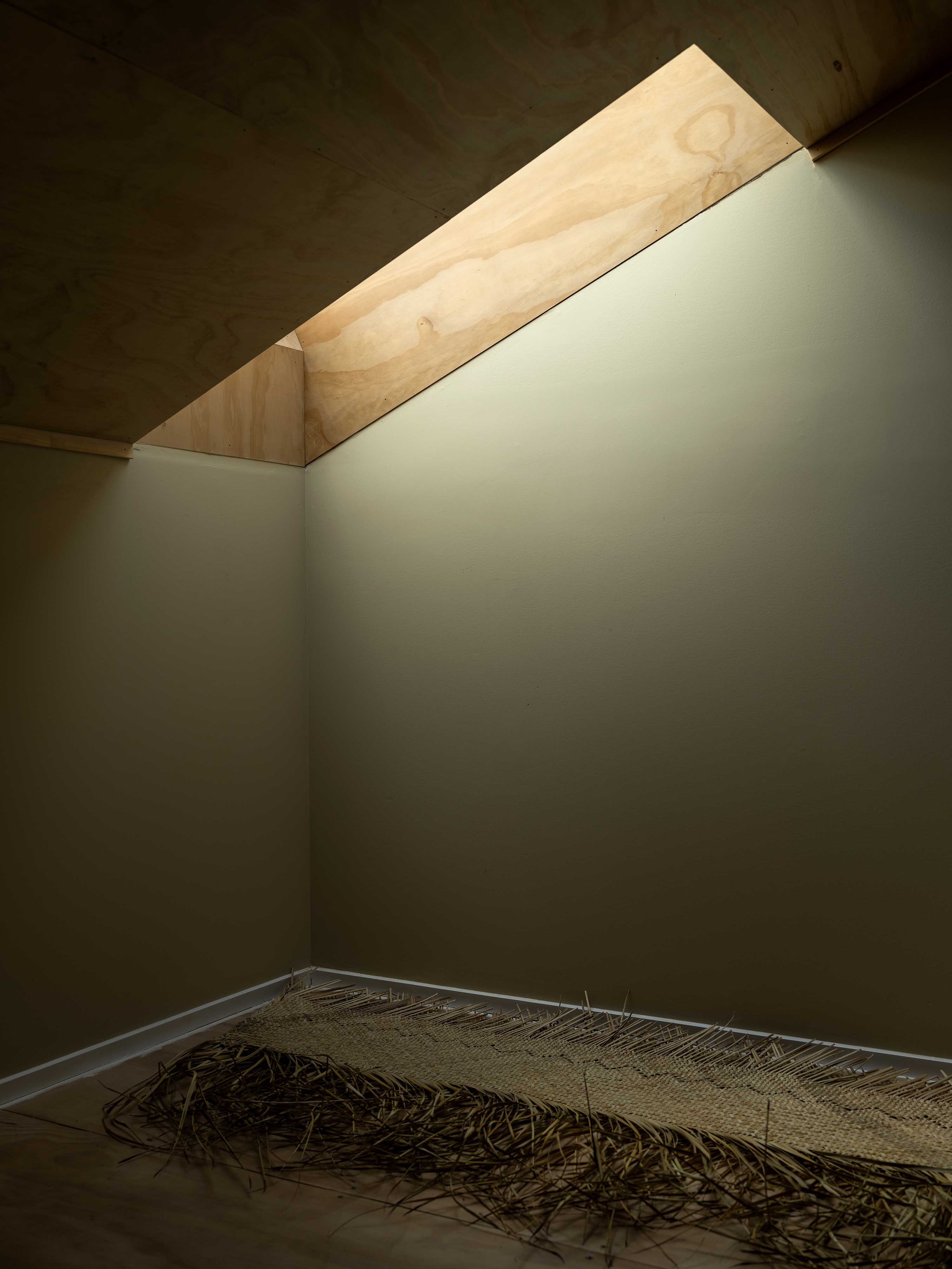 Co Op | Features | Here Magazine