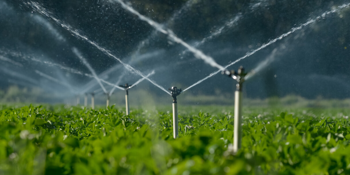 Agriculture
